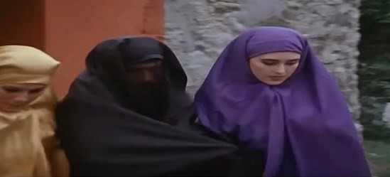 Osmanlı'da genelev tarihçesi - Sayfa 11